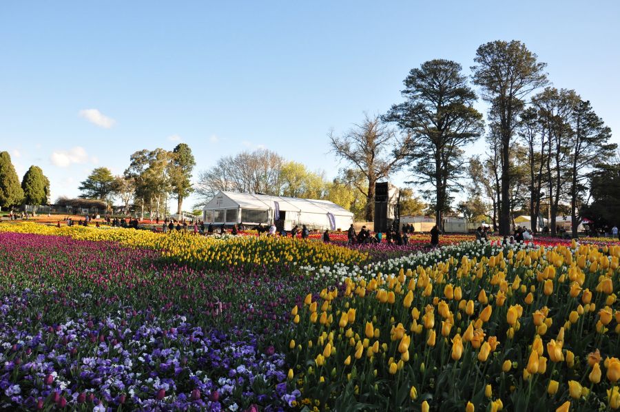 Canberra Floriade Festival Is A Sensational Celebration Of Spring